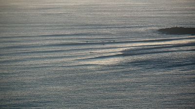 Tweed Bar Live Streaming Surfcam | Swellnet